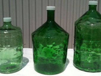 Универсальная закваска для вина: рецепты из ягод и изюма